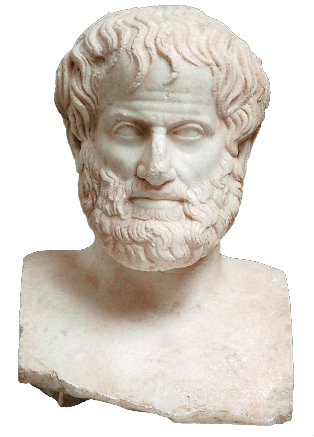 History – Oasis Resort